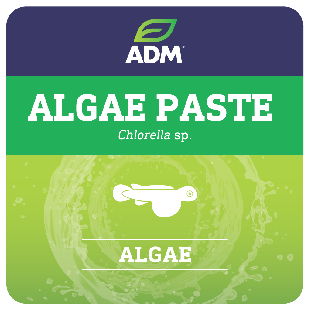 BERNAQUA - Label Fish - ALGAE PASTE - Bern Aqua