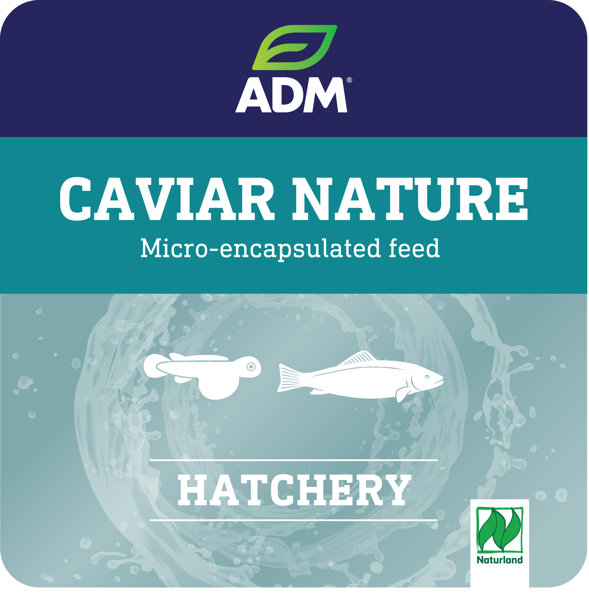 BERNAQUA Label Fish CAVIAR NATURE Bern Aqua bernaqua-label-fish-caviar-nature-bern-aqua