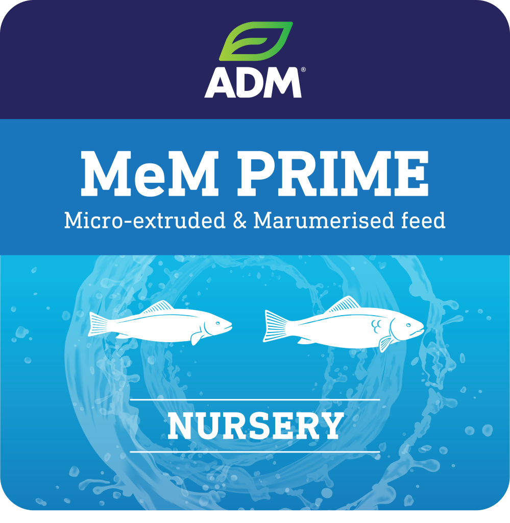 BERNAQUA - Label Fish - MEM PRIME - Bern Aqua