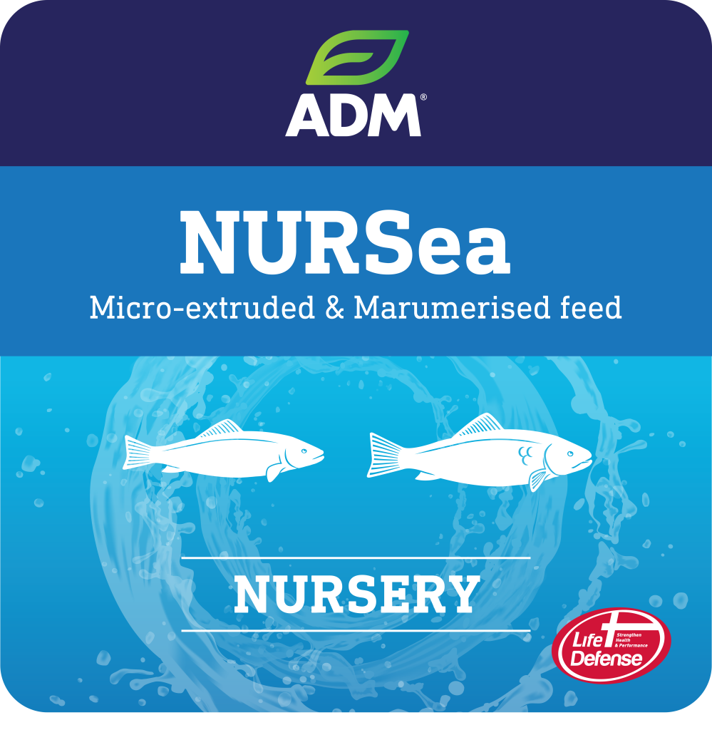 BioSpheres - a complete range of feed for shrimp hatcheries I BernAqua