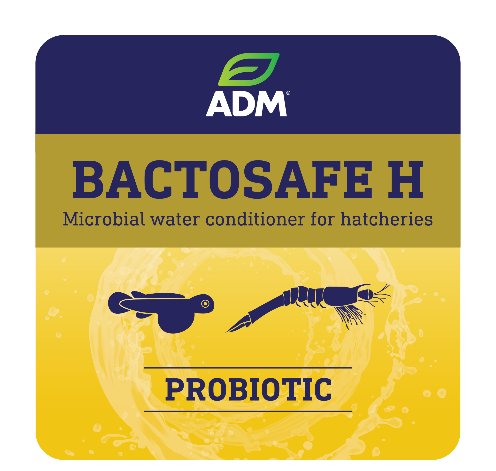 BERNAQUA - Label Fish - PROBIOTICS - BACTOSAFE H - Bern Aqua