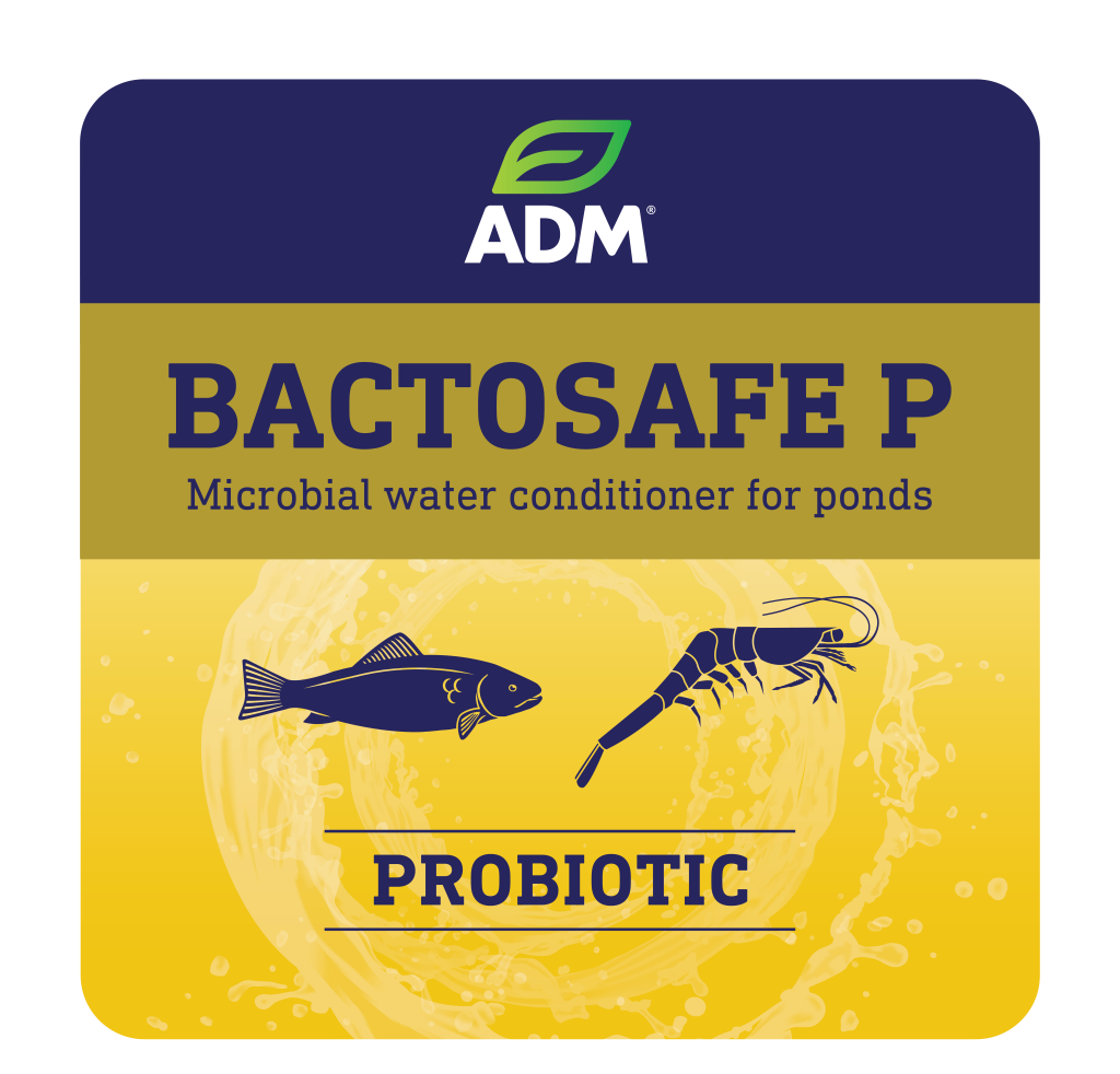 BERNAQUA - Label Fish - PROBIOTICS - BACTOSAFE P - Bern Aqua