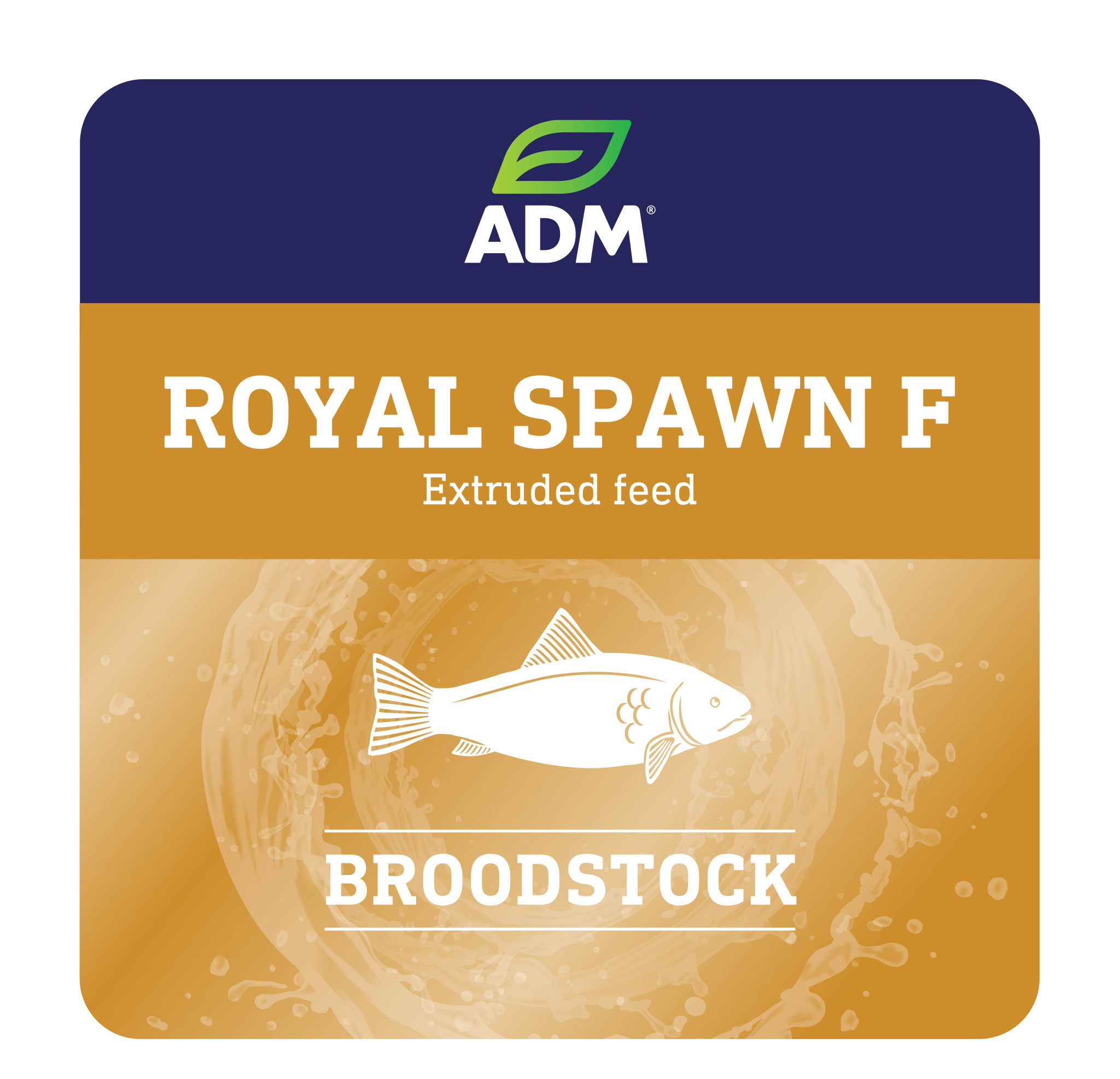 BERNAQUA - Label Fish - ROYAL SPAWN F - Bern Aqua