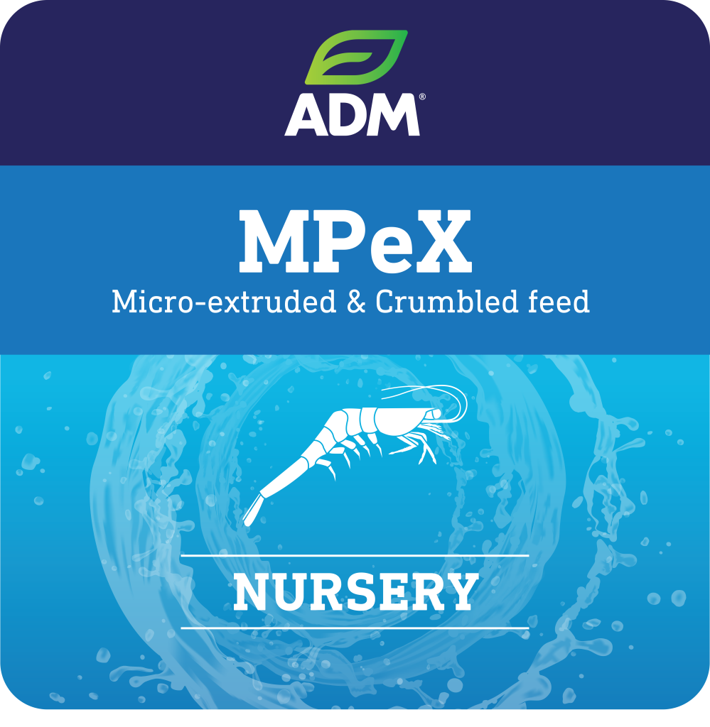 BERNAQUA - Label Shrimp - MPEX - Bern Aqua