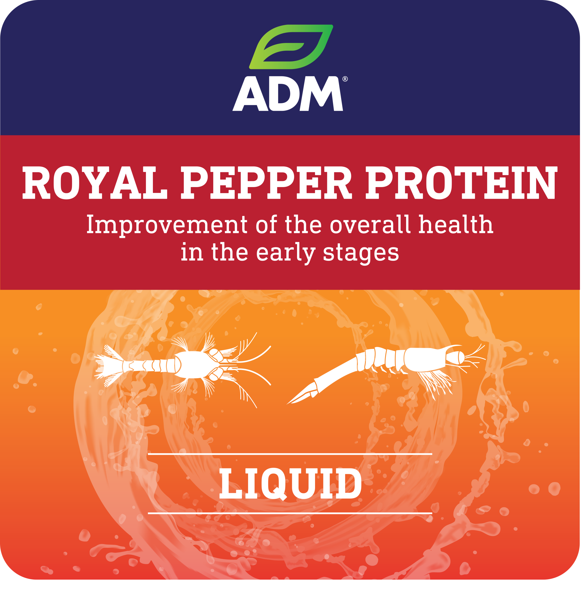 BERNAQUA - Label Shrimp - ROYAL PEPPER PROTEIN - Bern Aqua