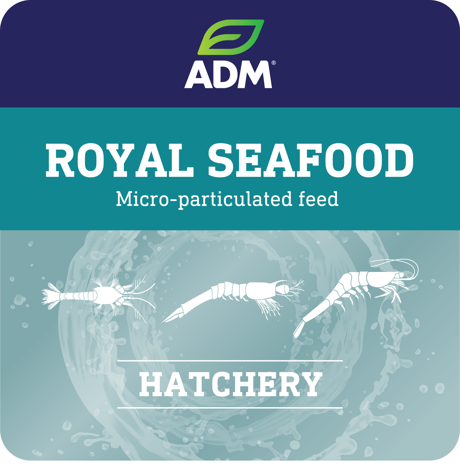 BERNAQUA - Label Shrimp - ROYAL SEAFOOD - Bern Aqua