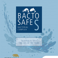 BactoSafe H - concentrated live bacteria improving water quality