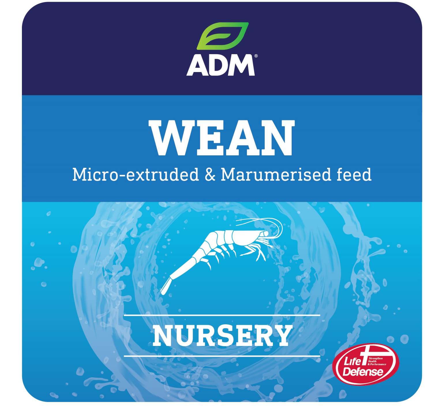 Bernaqua - Label Shrimp - WEAN 15 x 15cm - Bern Aqua