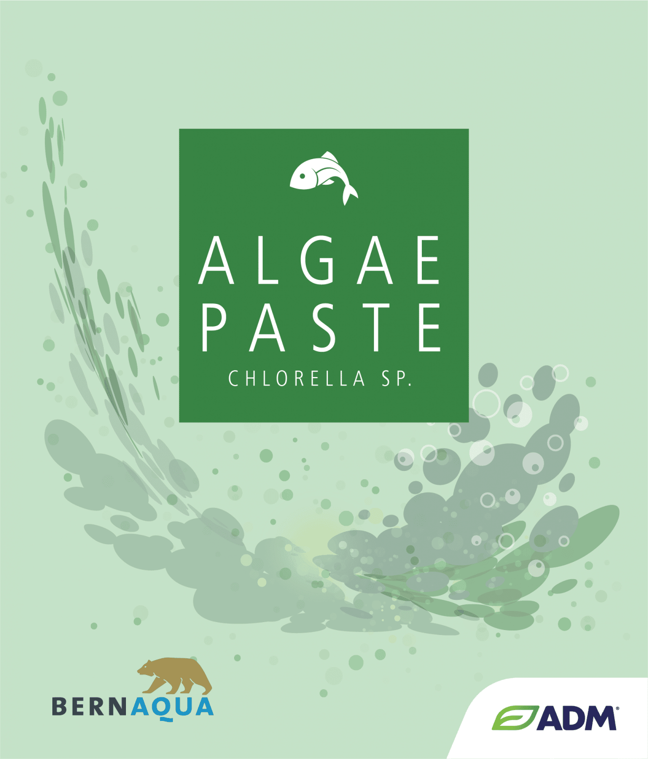 ALGAE PASTE - Bern Aqua