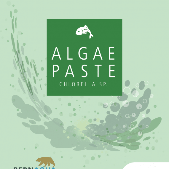 BactoSafe P - concentrated live bacteria improving water quality