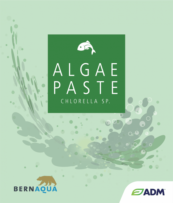 ALGAE PASTE - Bern Aqua