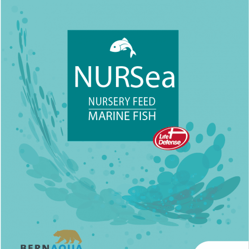 BactoSafe P - concentrated live bacteria improving water quality