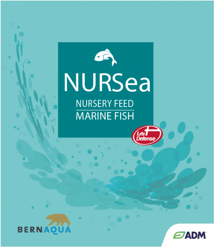 ALGAE PASTE - Bern Aqua