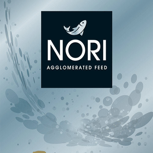 BactoSafe P - concentrated live bacteria improving water quality