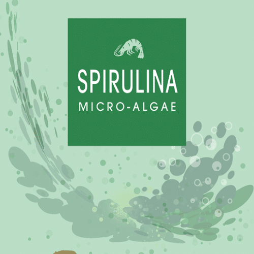 ALGAE PASTE - Bern Aqua