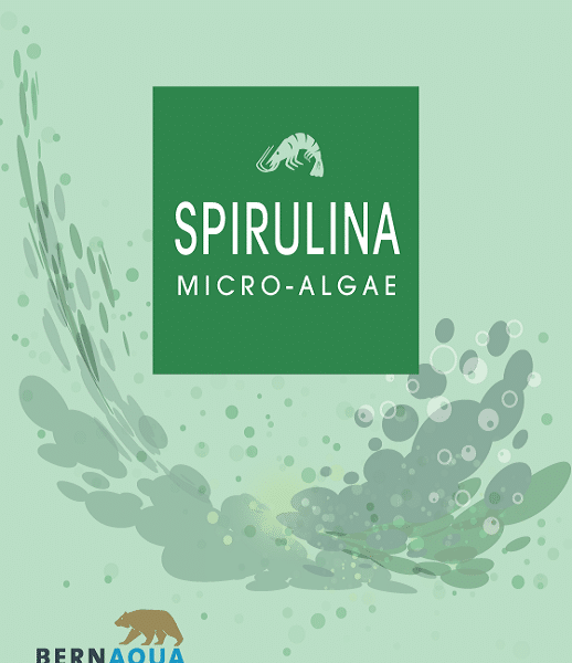 Spirulina - blue-green microalgae rich in amino-acids I BernAqua