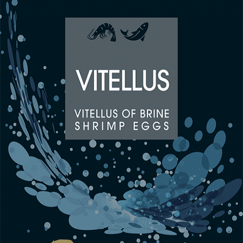 Vitellus - exclusive, first quality Artemia cysts I BernAqua