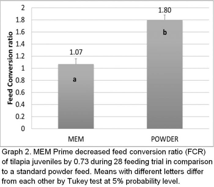 MeM Prime, the feeds able to optimize your Tilapia’s production.