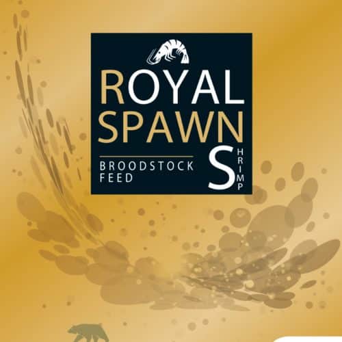 BactoSafe P - concentrated live bacteria improving water quality